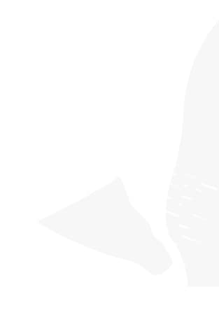 Global Licensing Advisory Services | Oracle