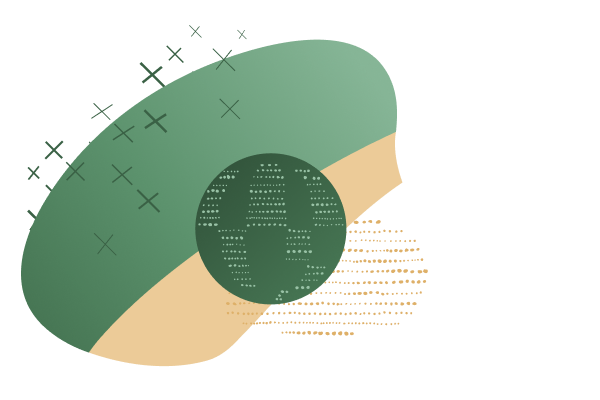 Artificial Intelligence (AI) | Oracle