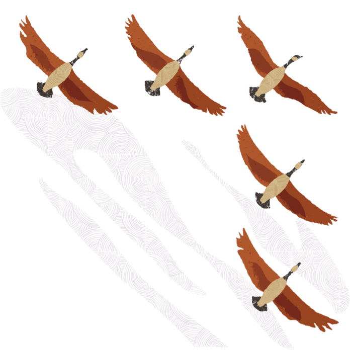 Oracle Certification | Oracle India