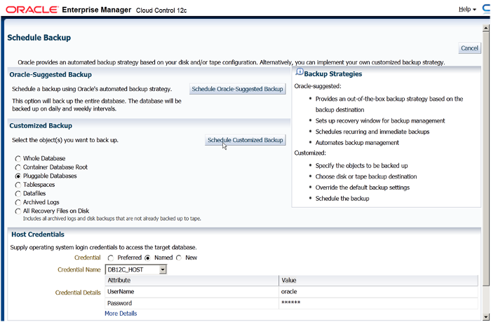 Back Up a Thousand Databases using Enterprise Manager Cloud Control 12c
