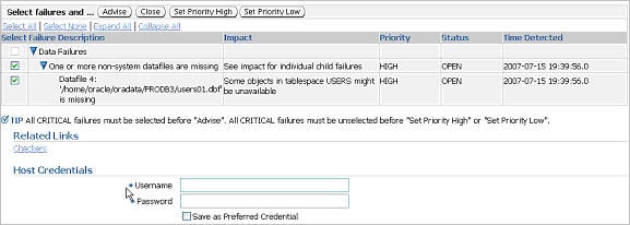 Oracle Database 11g：面向 Dba 和开发人员的重要新特性 Rman