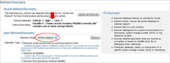 Oracle Database 11g：面向 Dba 和开发人员的重要新特性 Rman