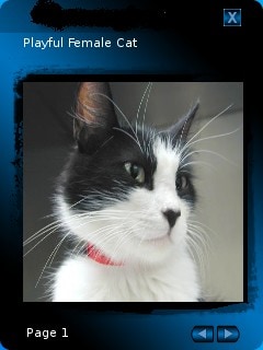 GlassFish and MySQL, Part 4: Creating a RESTful Web Service and JavaFX ...