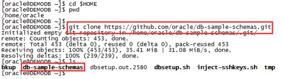 Oracle Java Cloud 系列 (03) — 云端部署一个 Java 电商应用