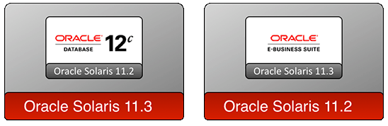 如何开始在 Oracle Solaris 11 中创建 Oracle Solaris 内核区域