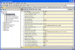 SQL Developer Manage Index