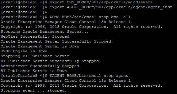 Oracle Enterprise Manager Cloud Control 13.2 Upgrade | Oracle Brasil