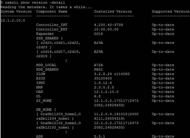 Atualizando Server, Storage e Database em Oracle Database Appliance ...