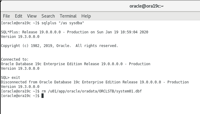 Usando O Recurso Recover Standby Database Do Serviço Dataguard No 19c