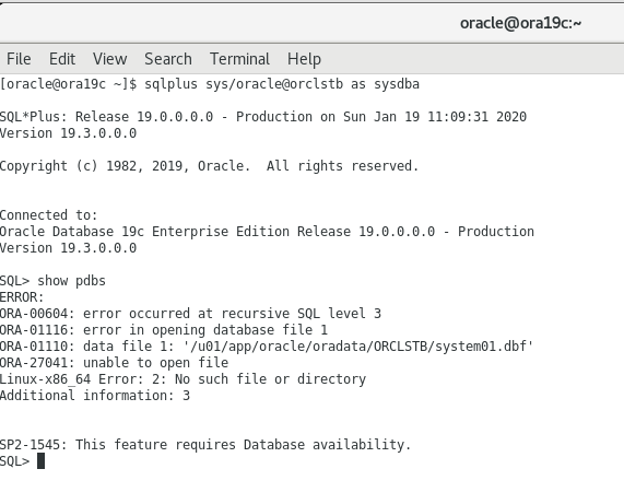 Usando O Recurso Recover Standby Database Do Serviço Dataguard No 19c