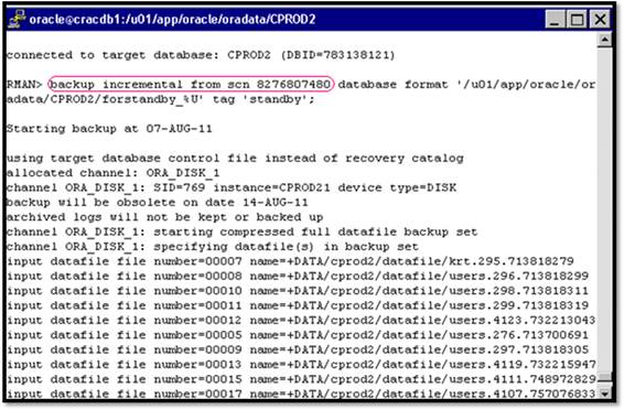 Standby Database Físico: Executado Roll Forward com backups incrementais através do RMAN