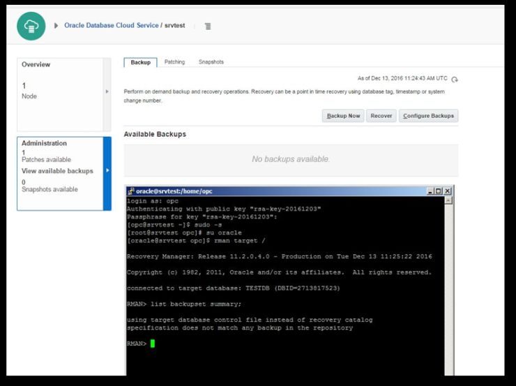 Oracle Cloud Backup & Recovery para o Oracle Database na Cloud | Oracle ...