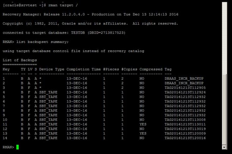 Oracle Cloud Backup & Recovery para o Oracle Database na Cloud | Oracle ...