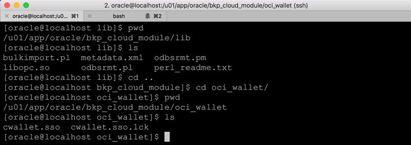Utilizando o Oracle Database Cloud Backup Module para Migração de ...