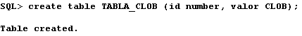 Manejo de Oracle Large Objects (LOB) | Oracle América Latina
