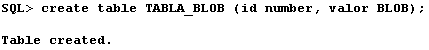Manejo de Oracle Large Objects (LOB) | Oracle América Latina
