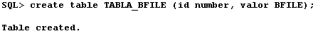Manejo de Oracle Large Objects (LOB) | Oracle América Latina