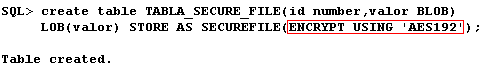Manejo de Oracle Large Objects (LOB) | Oracle América Latina