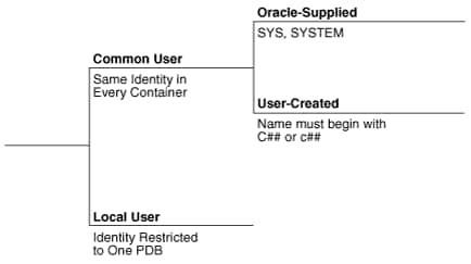 Oracle Database 12c R1 - Database Multitenant | Oracle Brasil