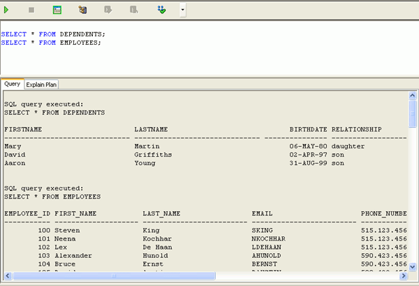 Building .NET Applications Using Oracle Developer Tools for Visual Studio