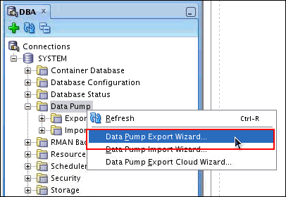 Oracle SQL Developer 3.1 Data Pump Feature