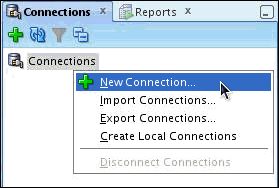 Oracle SQL Developer 3.1 Data Pump Feature