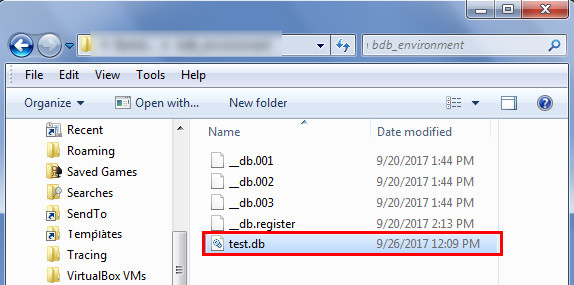 Creating a Transactional Environment in Berkeley DB