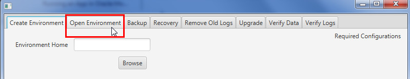 Performing Verification and Backup of a Transactional Environment in Berkeley DB