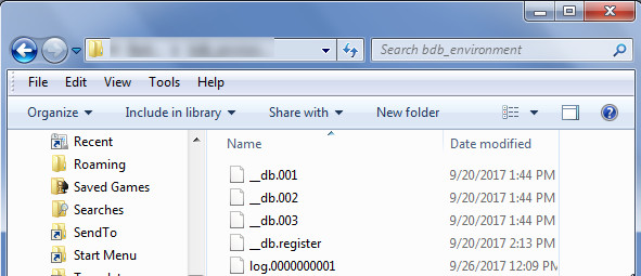Performing Verification and Backup of a Transactional Environment in Berkeley DB