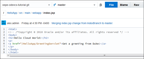 Learning Your Way Around the Oracle Developer Cloud Service User Interface