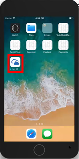 Using Oracle Identity Cloud Service's Mobile Software Development Kit ...