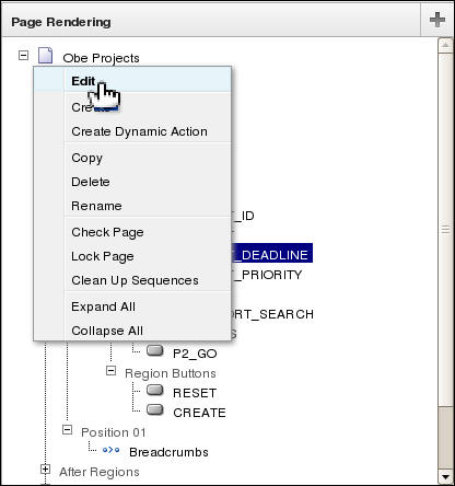Creating and Running a Database Application Using Oracle Application ...