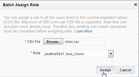 Manage Users and Roles in Oracle Cloud