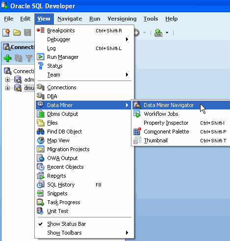 Setting Up Oracle Data Miner 11g R2