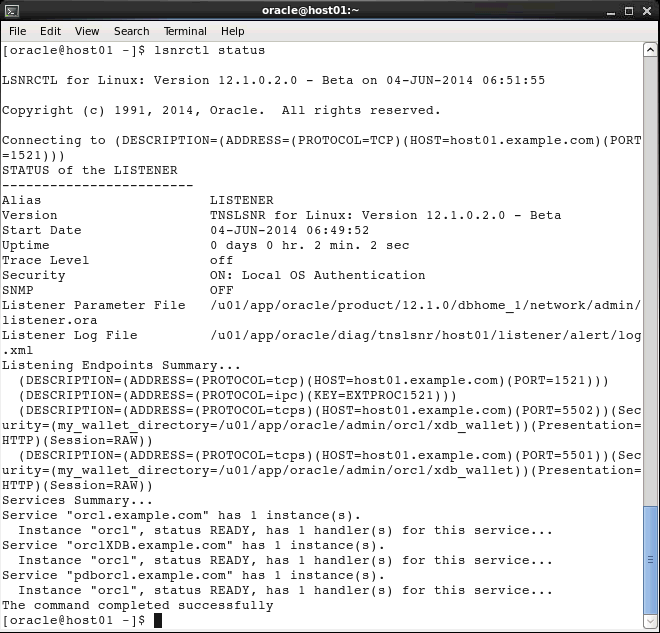 Using the Listener Control Utility to Manage the Listener