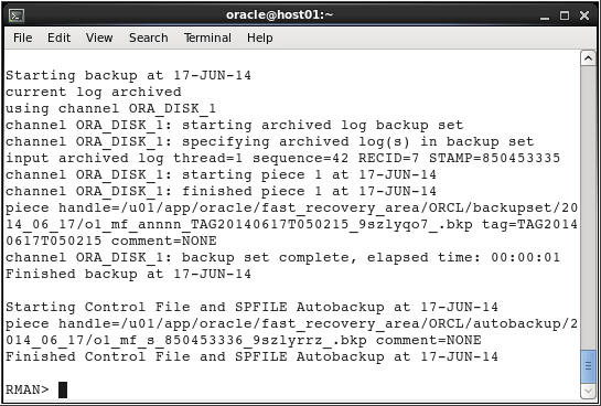 Performing Backup and Recovery