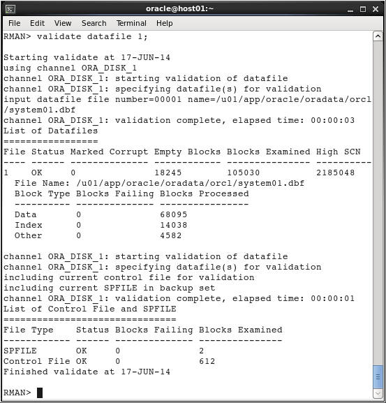 Performing Backup and Recovery