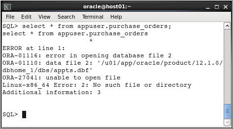 Performing Backup and Recovery