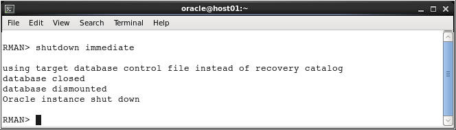 Performing Backup and Recovery