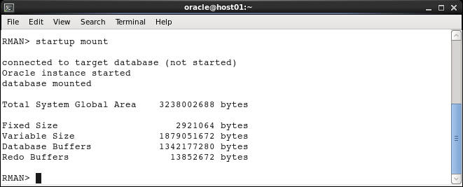 Performing Backup and Recovery