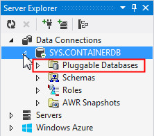 Using Multitenant Container Databases in Visual Studio