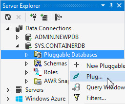 Using Multitenant Container Databases in Visual Studio