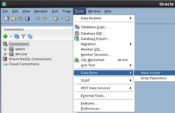 Setting Up Oracle Data Miner 4.1