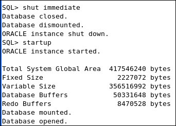 Develop and Diagnose JDBC Programs and Java Classes in the Database