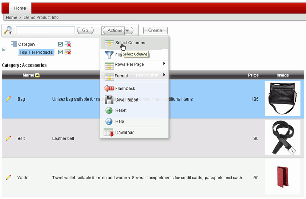 Building and Customizing an Interactive Report