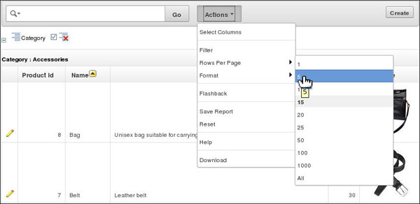 Building and Customizing an Interactive Report in Oracle Application ...
