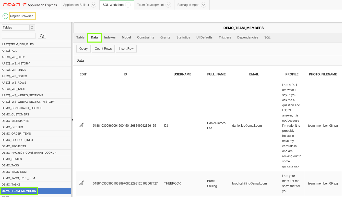 APEX Basic Demo Projects Hands-On Lab (v2.0.5)