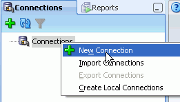 Advanced Oracle SQL Developer 3.0