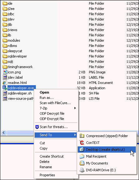 Oracle SQL Developer 3.0