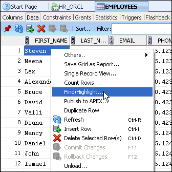 Oracle SQL Developer 3.0